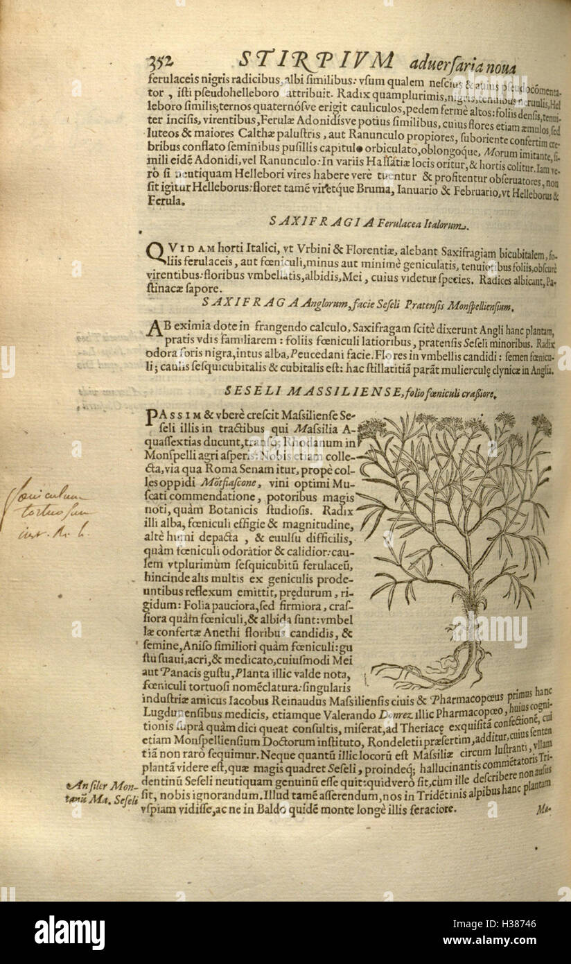 This work discusses the history and classification of plants, focusing ...