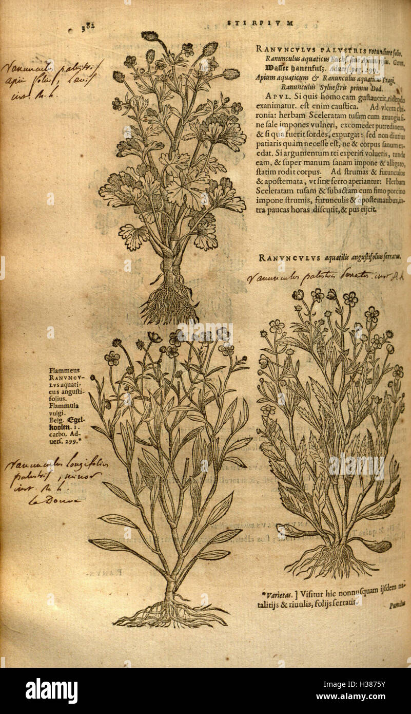This botanical text explores the history of plants, focusing on their ...