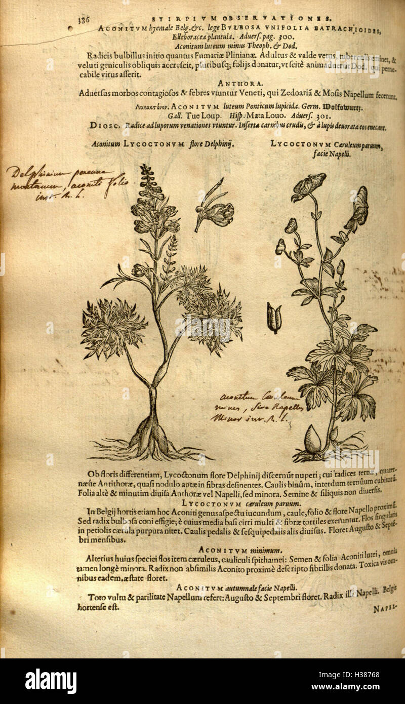 This work discusses the history and classification of plants, focusing ...