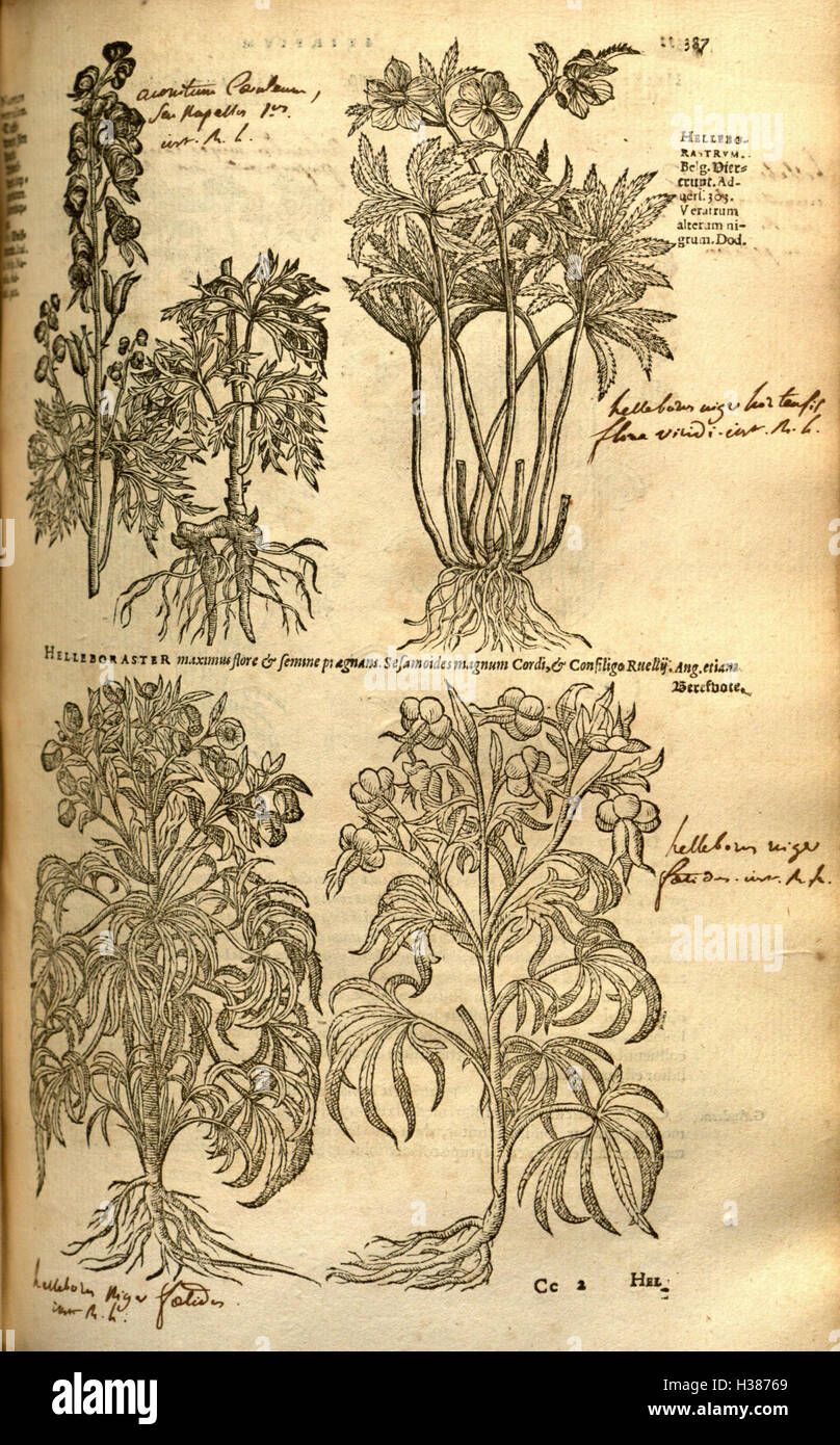 This botanical work by Linnaeus covers the classification and history ...