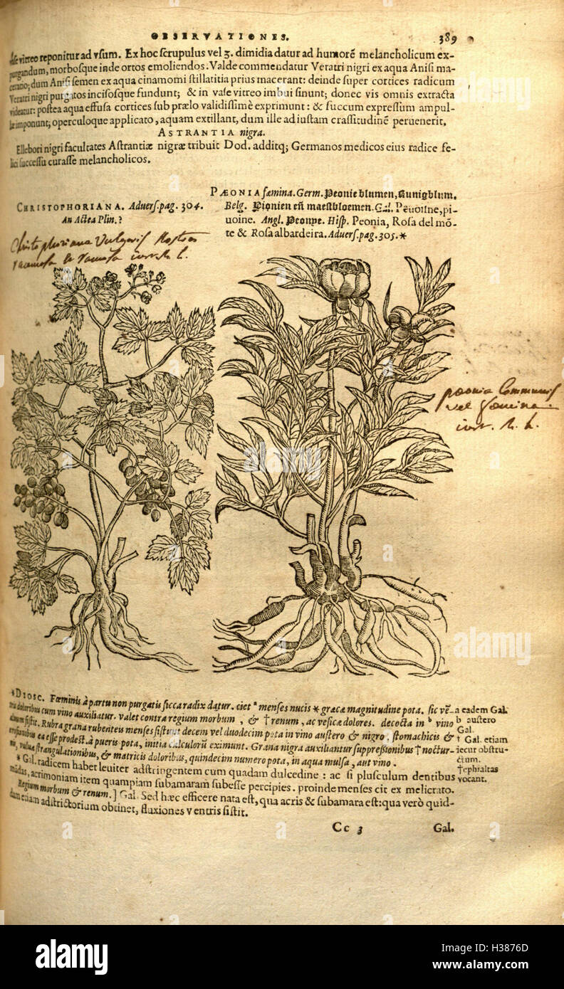This botanical work provides a detailed description of plant species ...