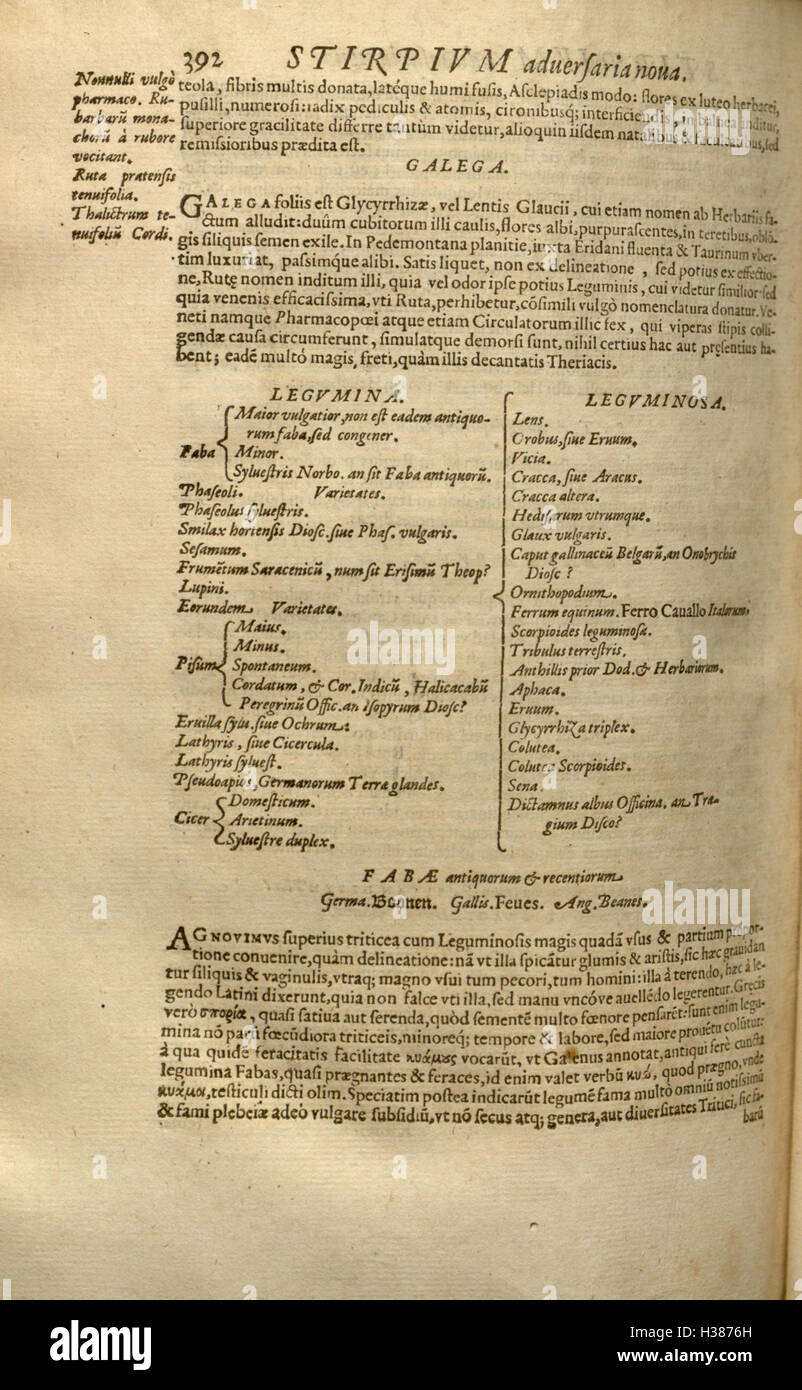 This botanical text details the classification and properties of ...