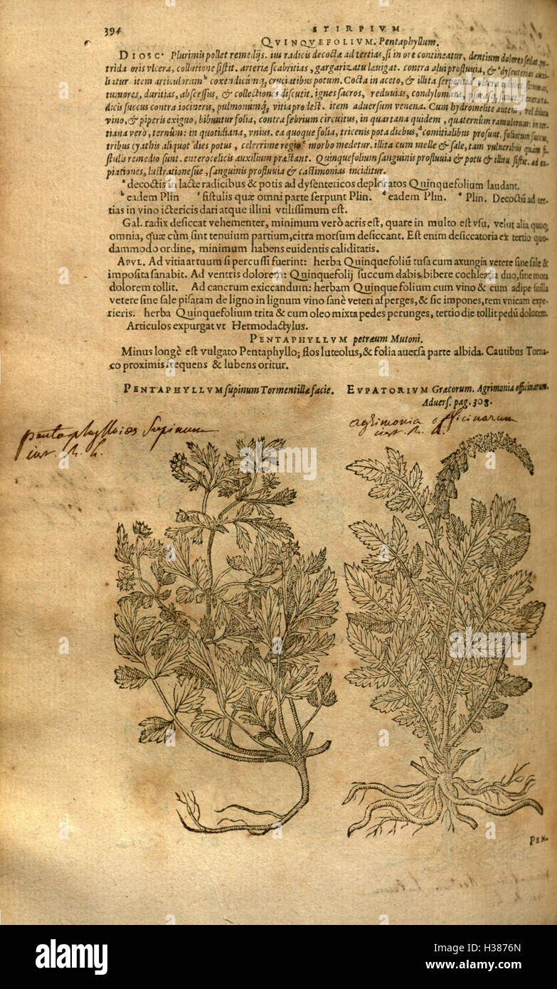 This botanical work provides an extensive history and description of ...