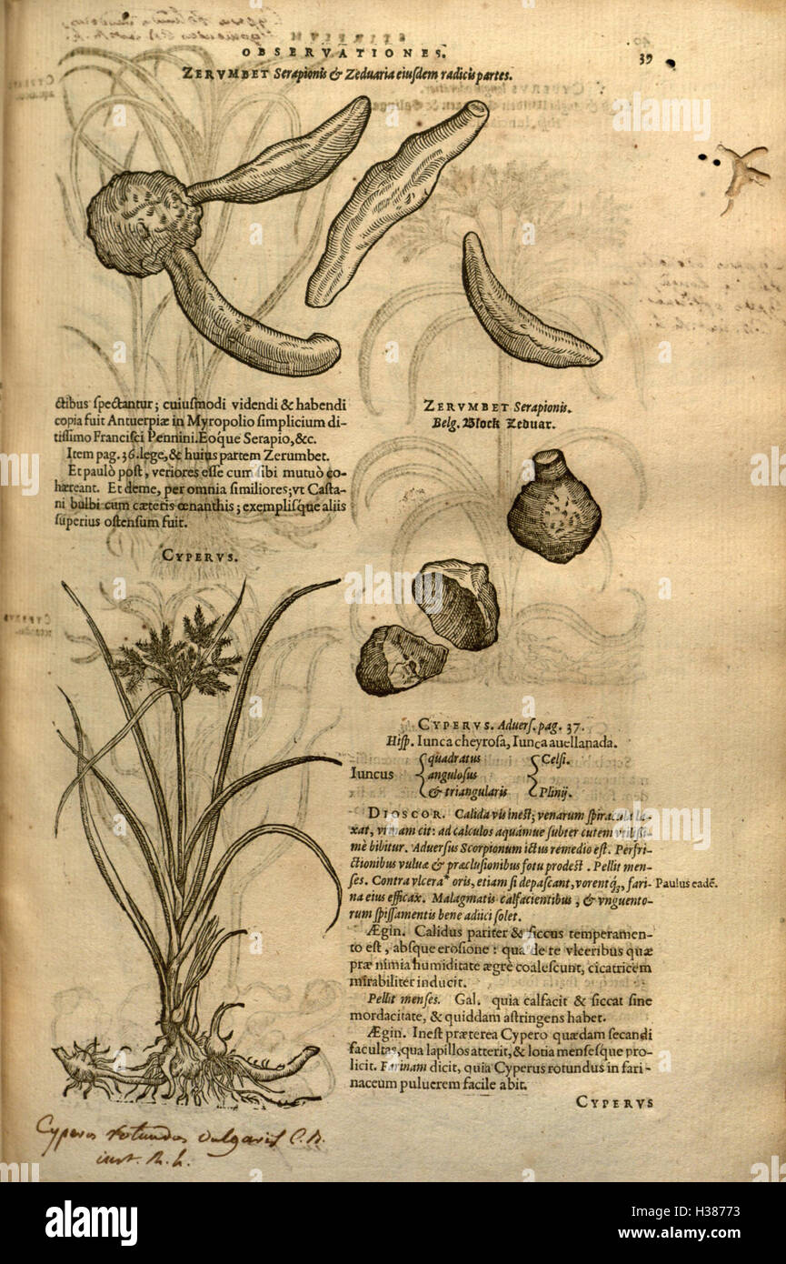 This page features a botanical work detailing the history of plants ...