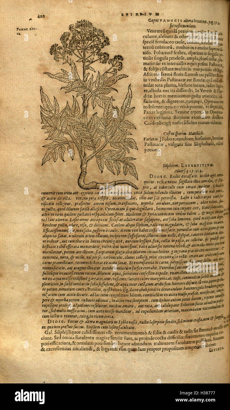 This work provides a comprehensive history and classification of plants ...