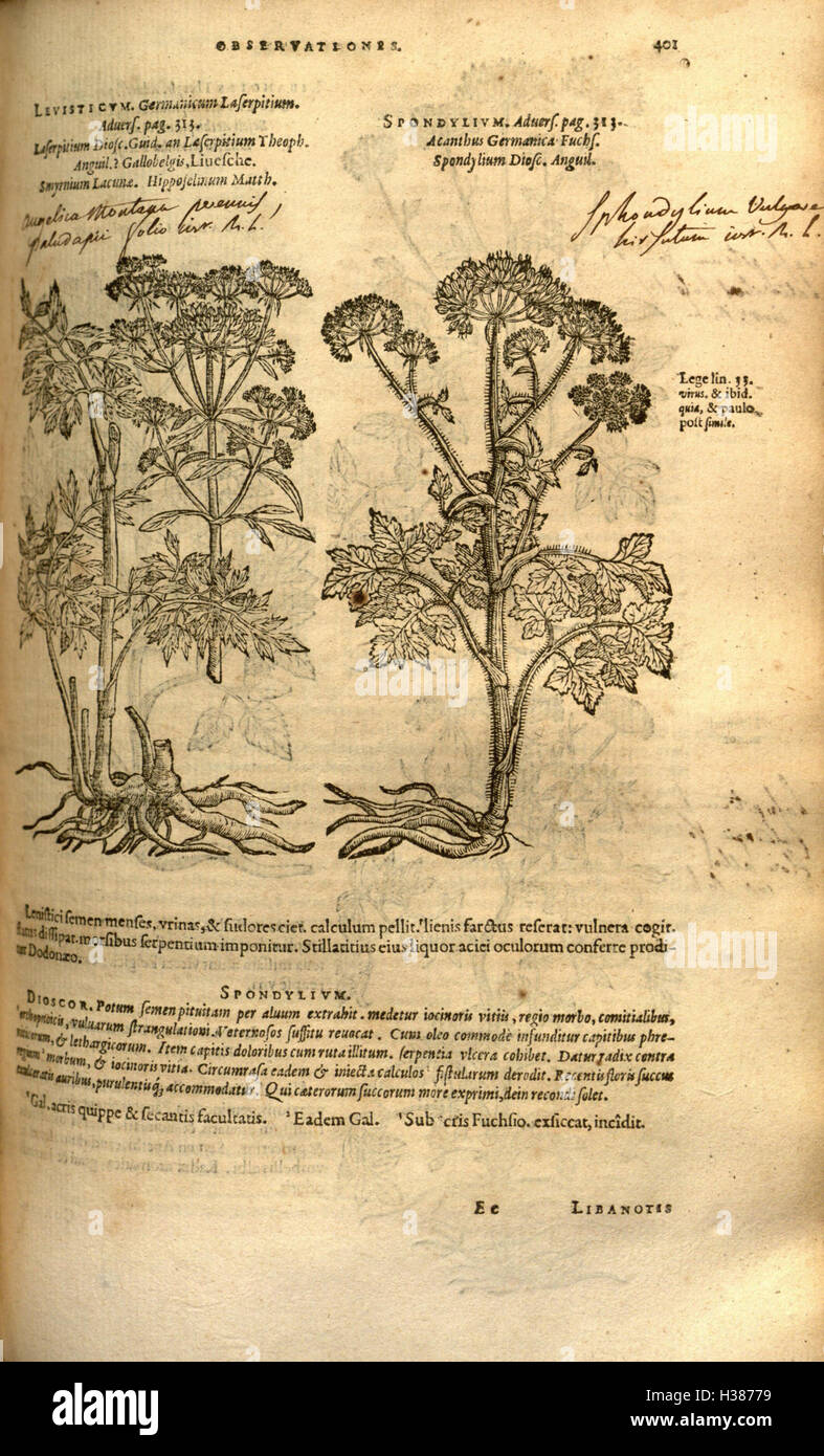 This classic botanical work details the history and properties of ...