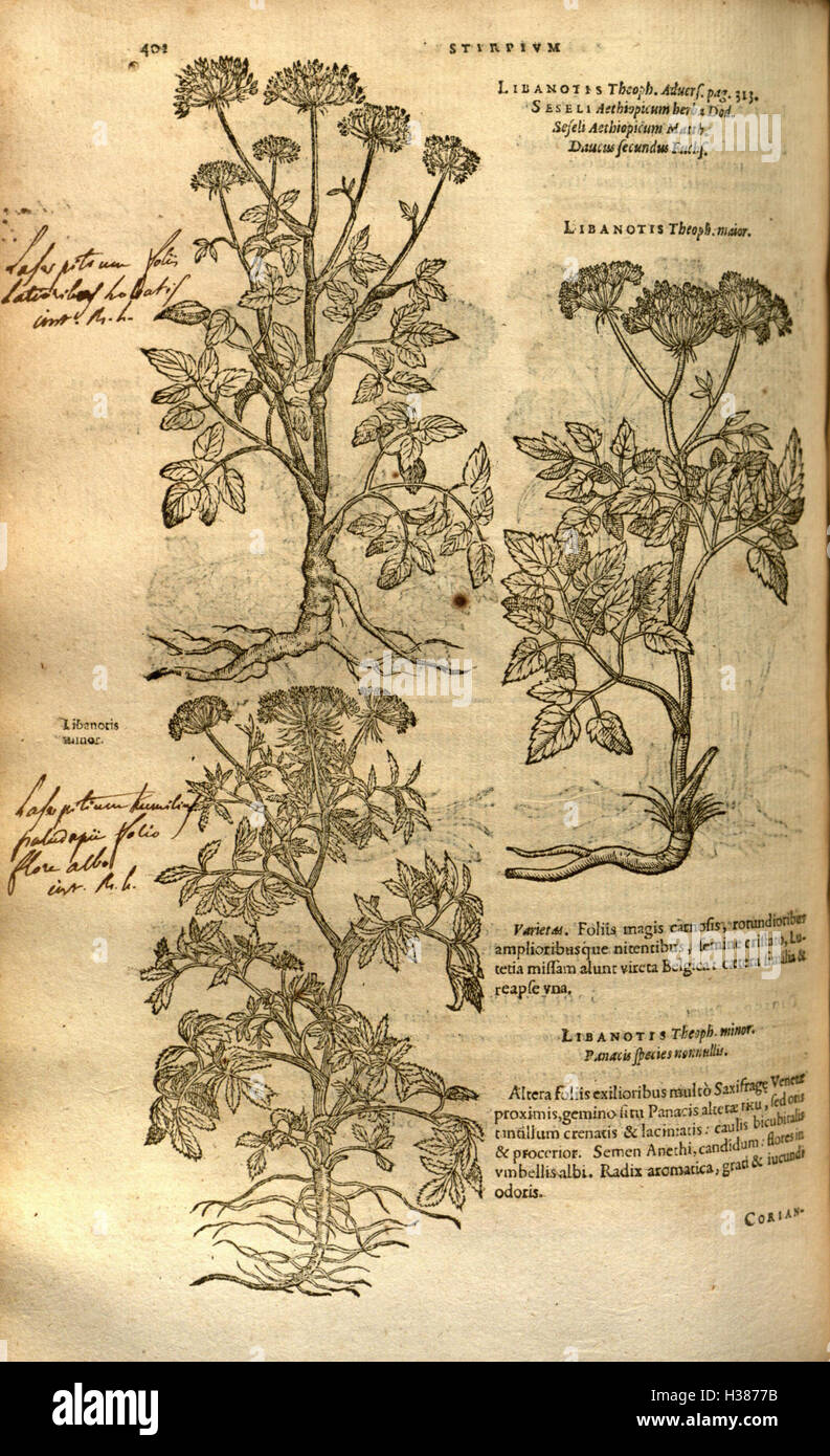 This botanical work provides a detailed history of plants, focusing on ...