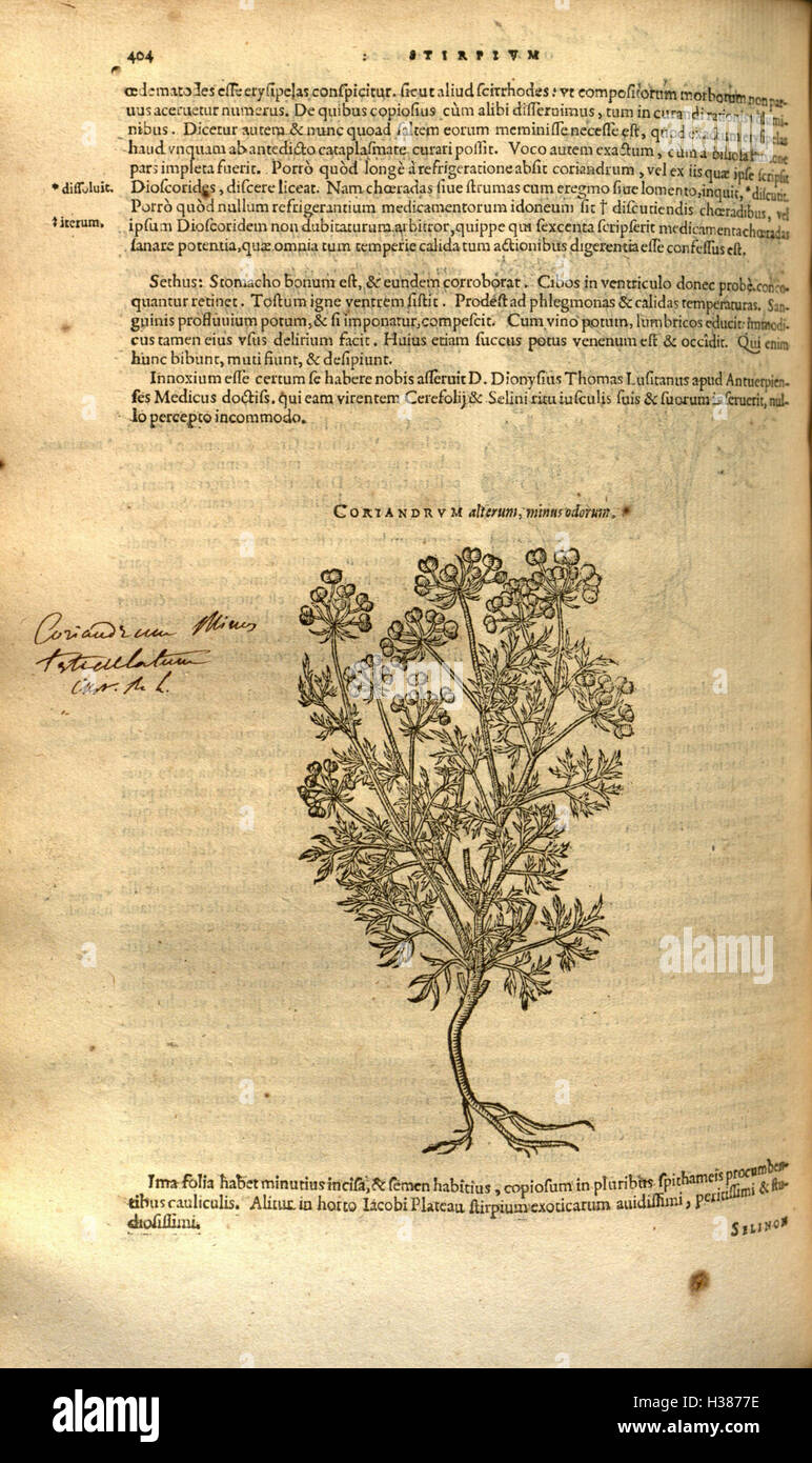 This Latin work on plant taxonomy provides a comprehensive ...