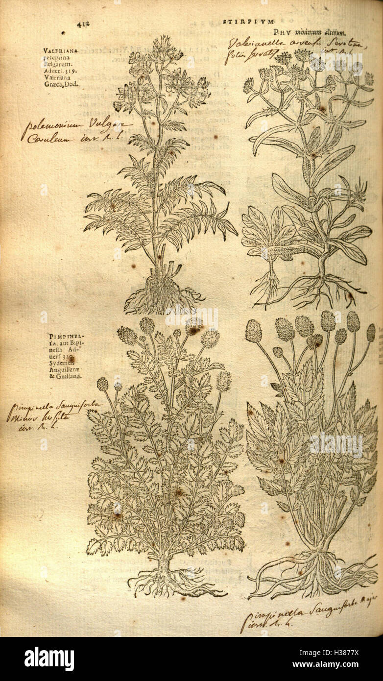 A botanical study detailing plant species and their historical ...