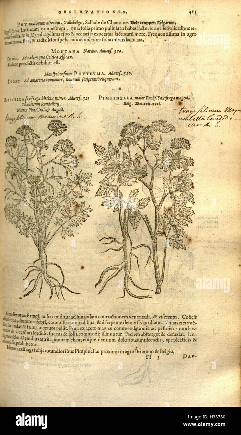 A botanical work detailing the history and classification of plants ...