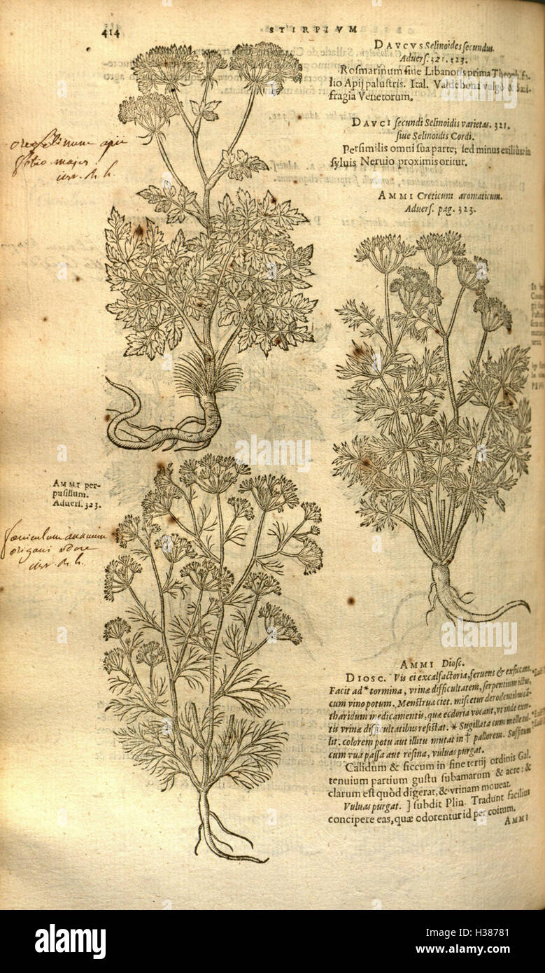 This botanical work offers detailed descriptions and illustrations of ...
