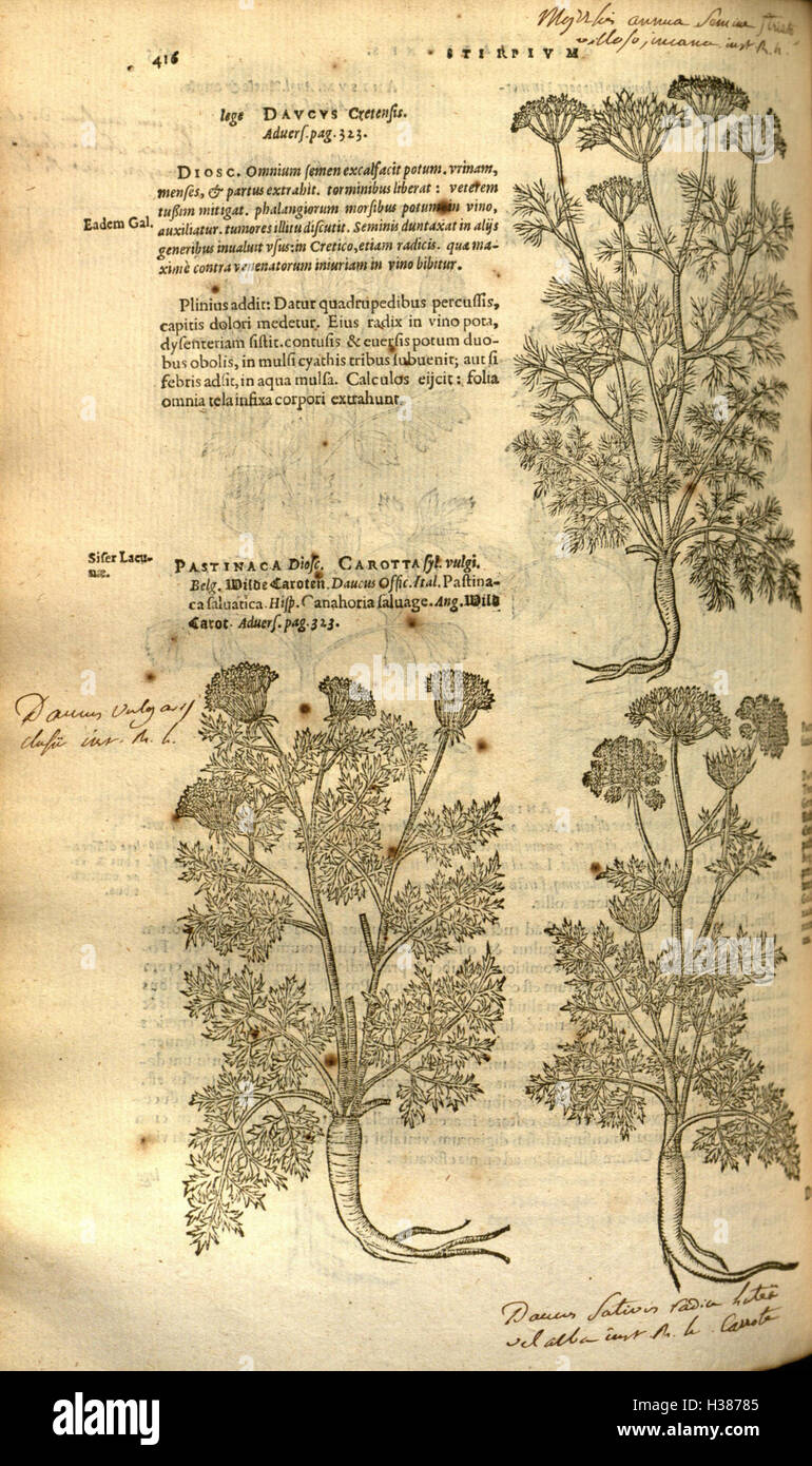This botanical work provides a detailed history of plants, focusing on ...