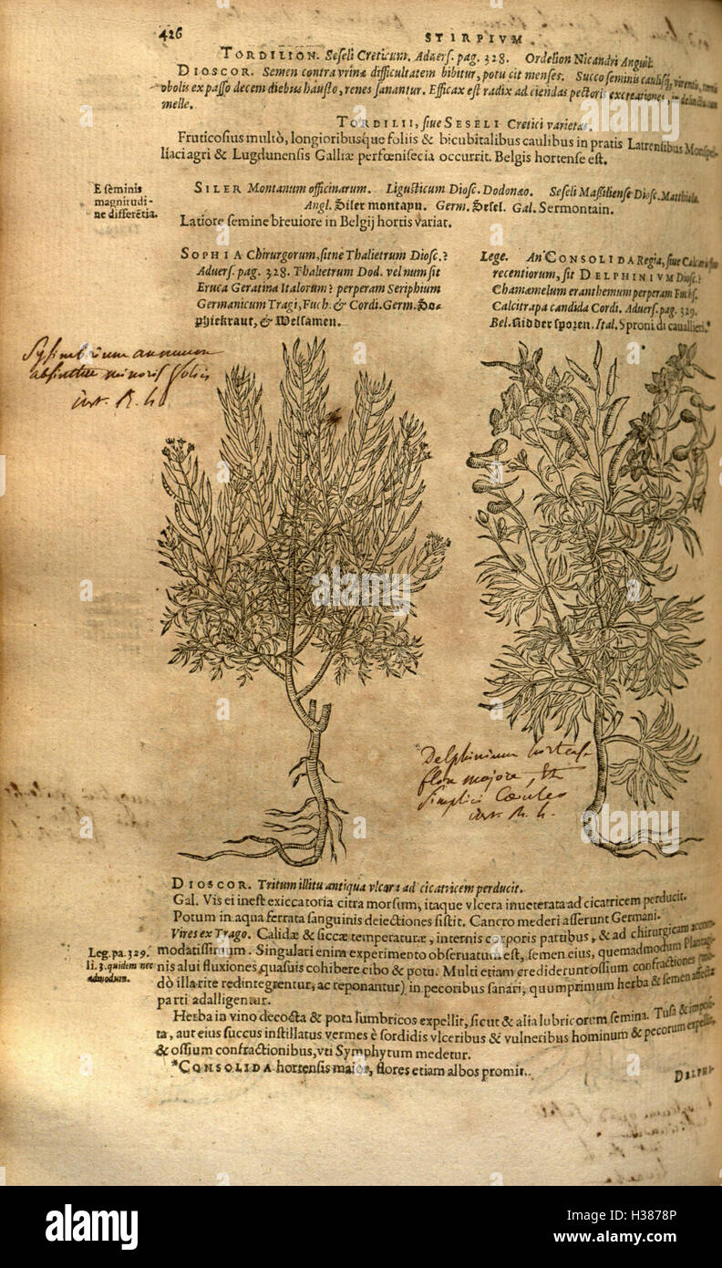 This text explores the history of plants, focusing on their ...