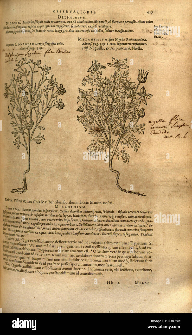 This page features the history of plants and their classifications ...