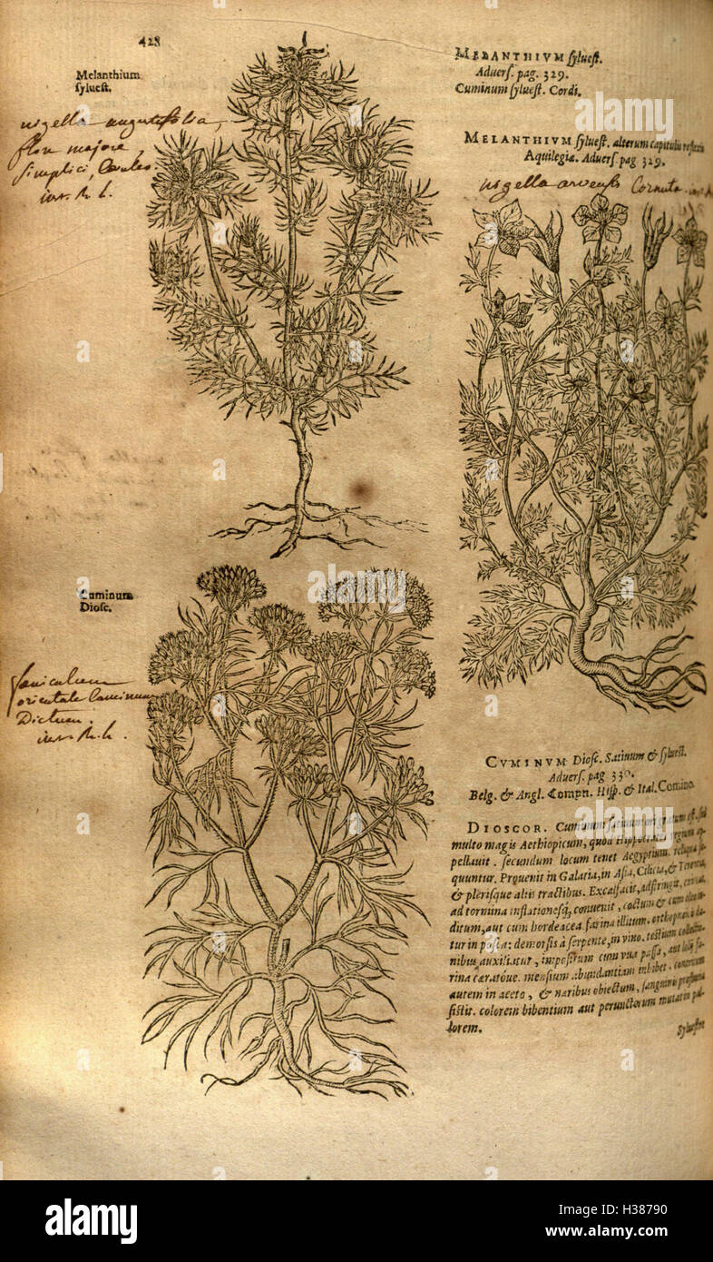 This botanical work provides detailed descriptions of plant species and ...
