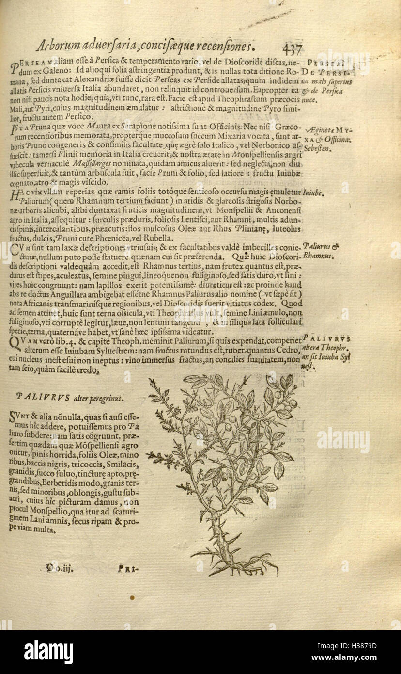 This botanical work provides a detailed description of plant species ...