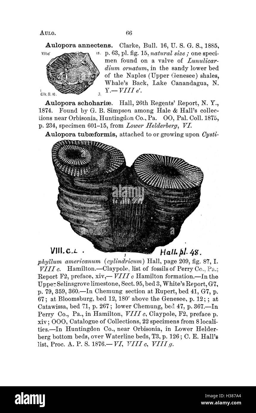 This dictionary provides detailed descriptions of fossil species found ...