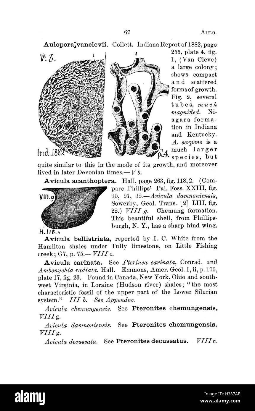 This dictionary catalogs fossils discovered in Pennsylvania and its ...