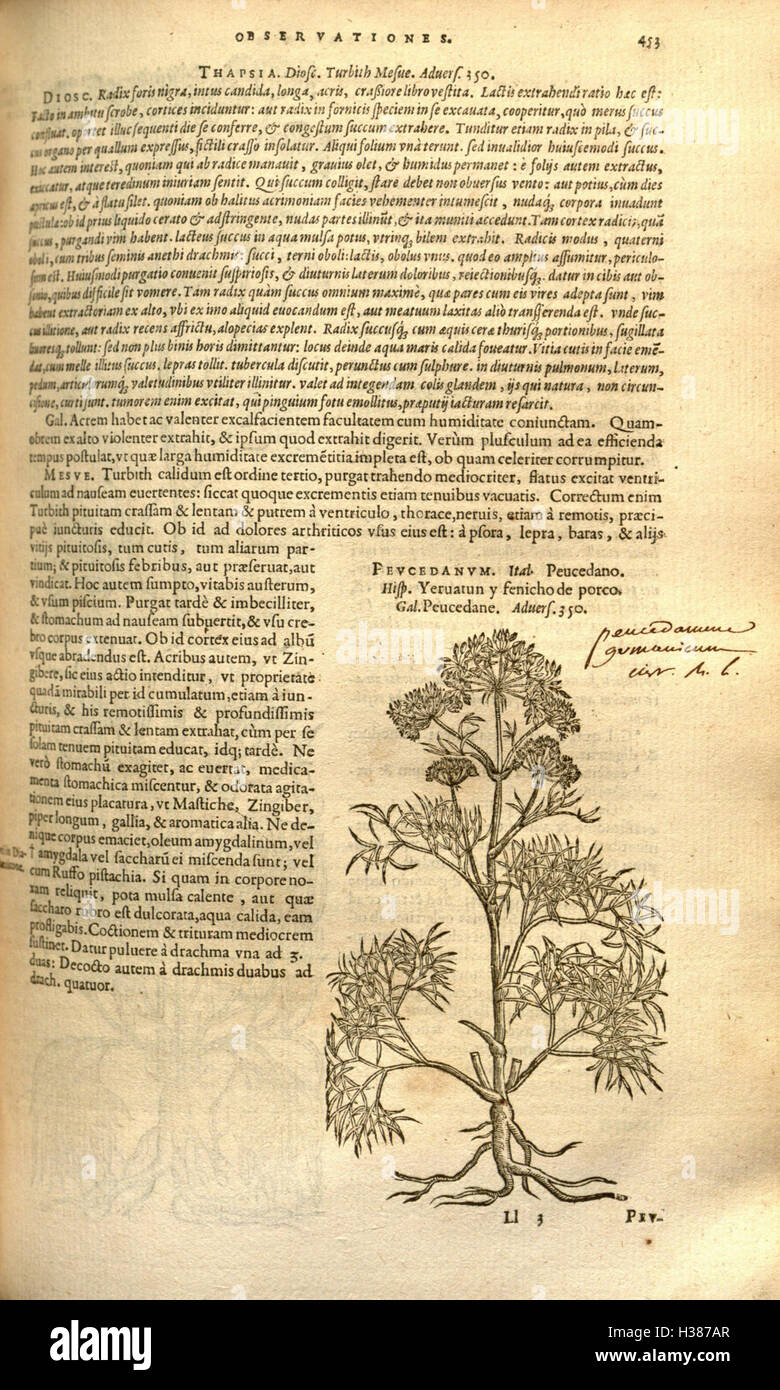 This work offers a historical and botanical overview of various plant ...