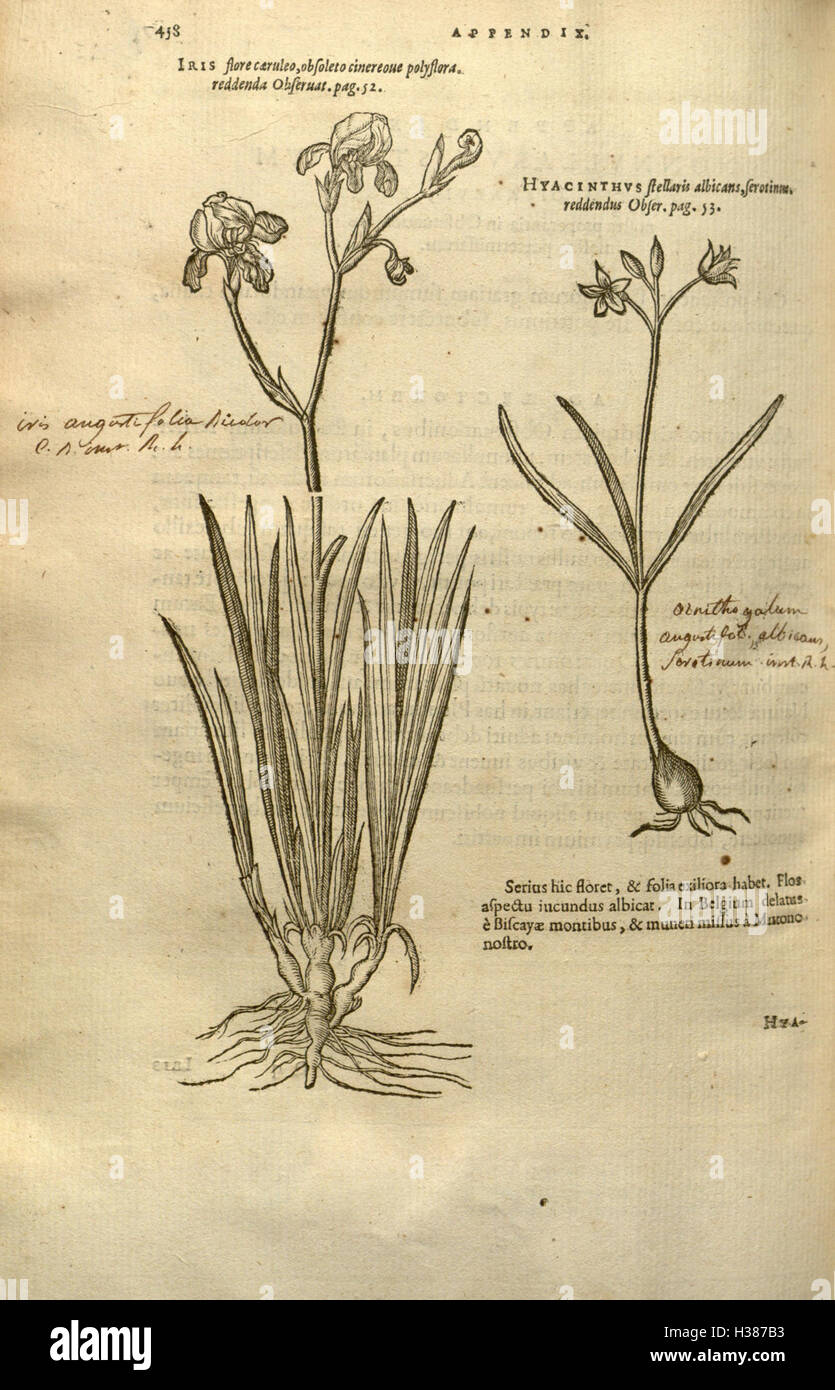 A historical botanical text detailing the history of plants and their ...