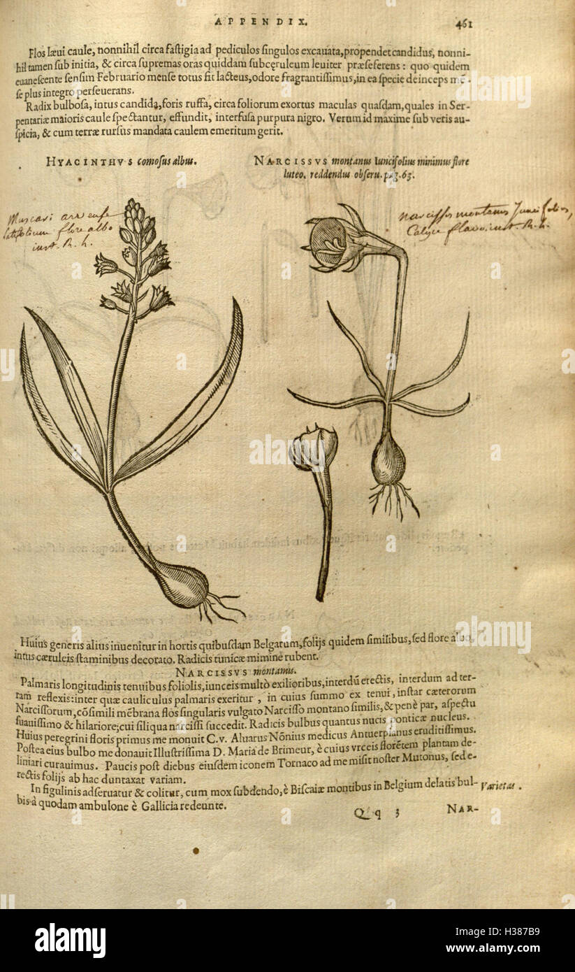 This botanical work explores the history and classification of plants ...