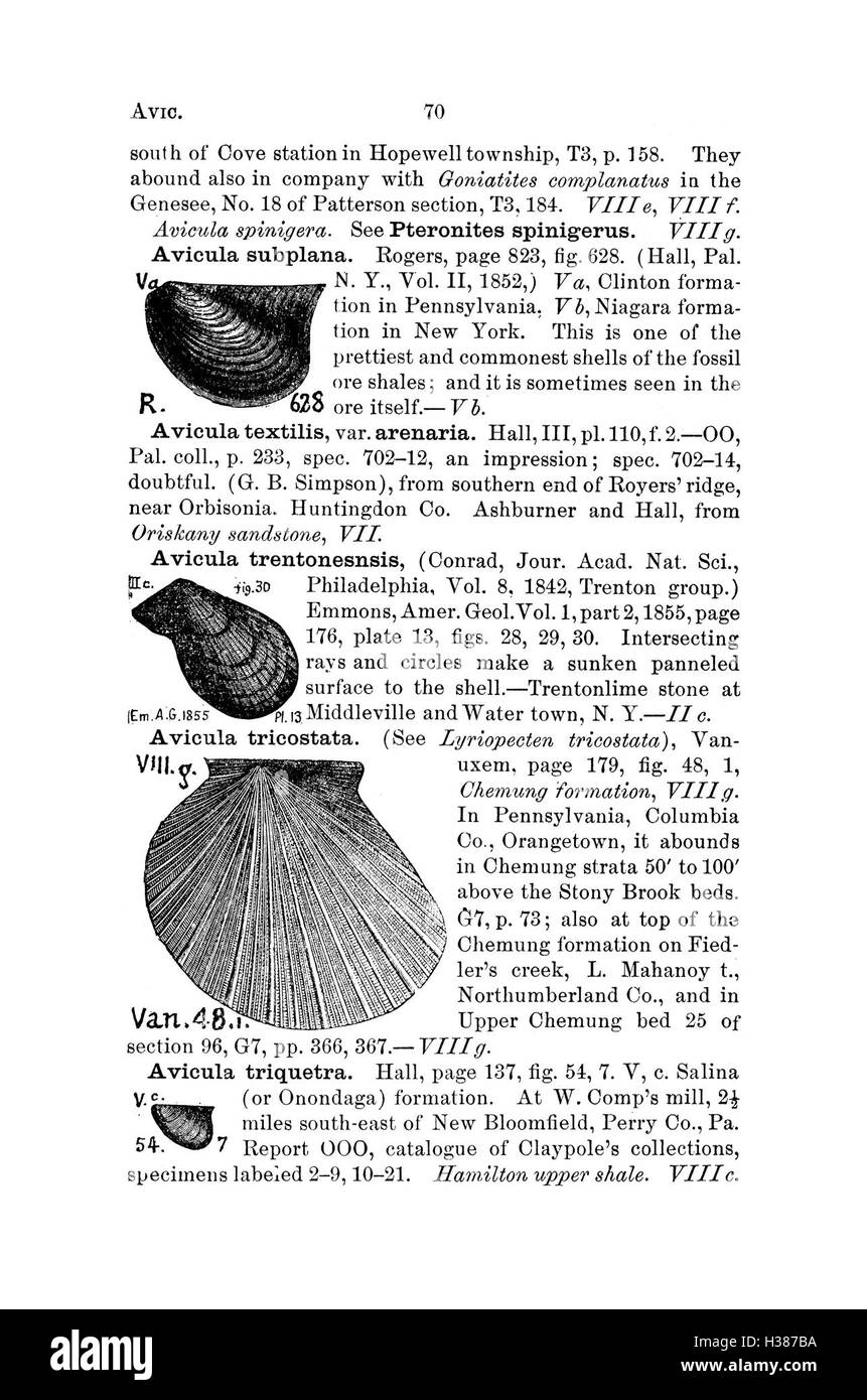 This dictionary provides detailed names and descriptions of fossils ...