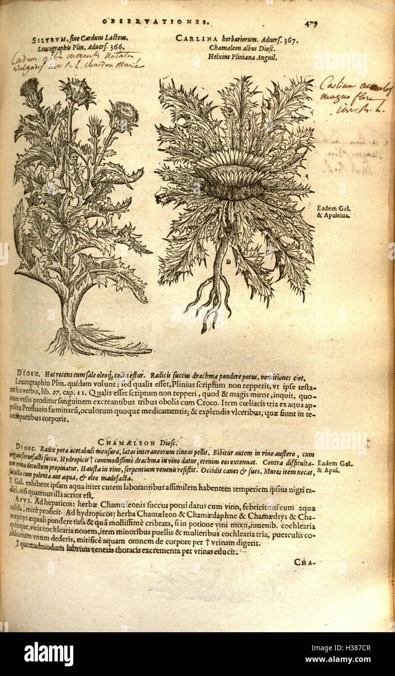 Pages 477 hi-res stock photography and images - Alamy