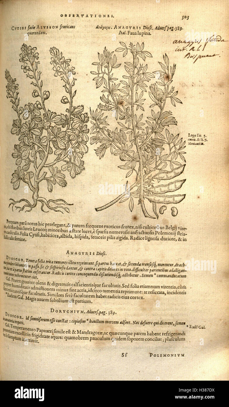 This botanical work provides a comprehensive history of plant species ...