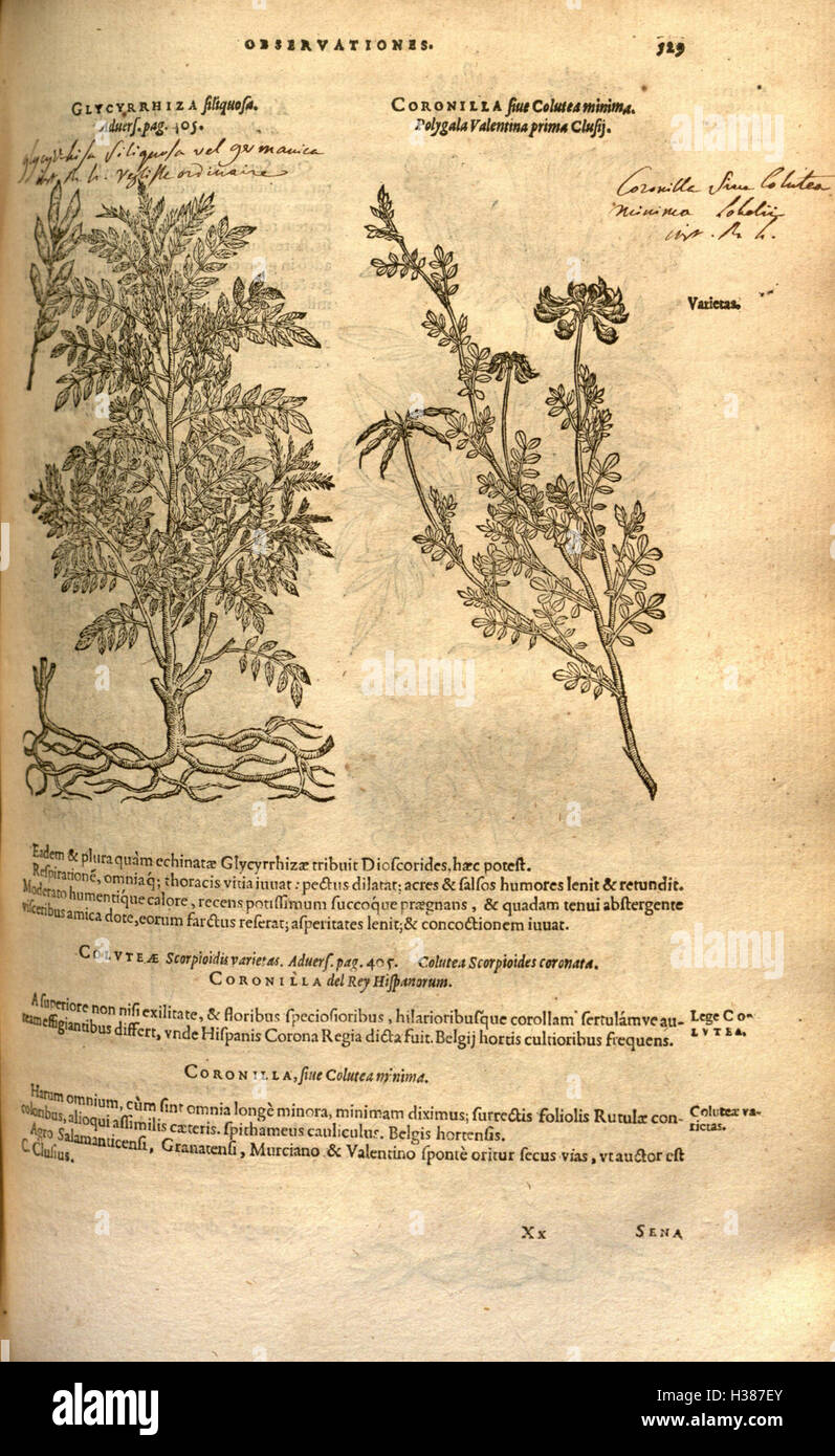 This botanical work outlines the history and classification of plants ...