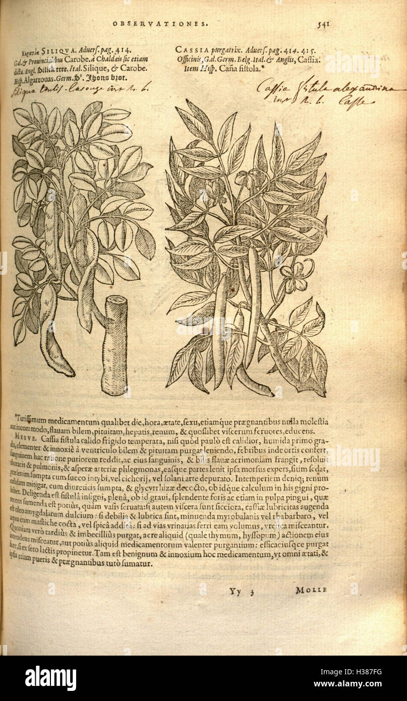 This botanical work details the history of plants and their ...
