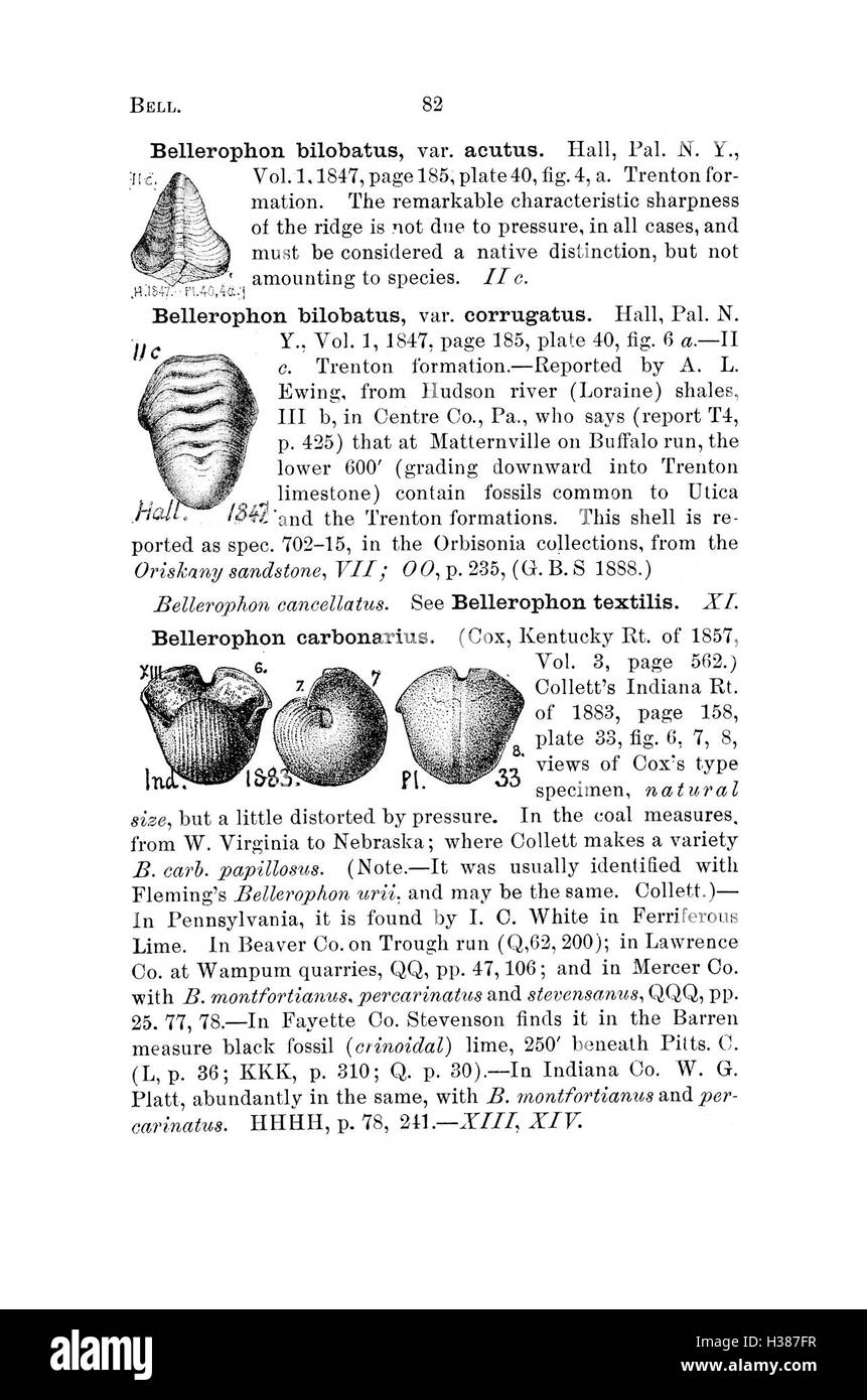A comprehensive dictionary documenting the fossil species found in ...