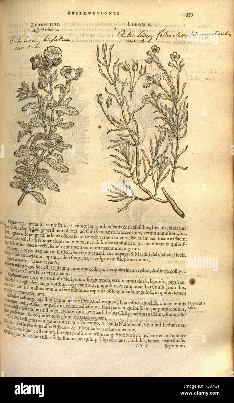 This botanical work provides a detailed history of plant species and ...