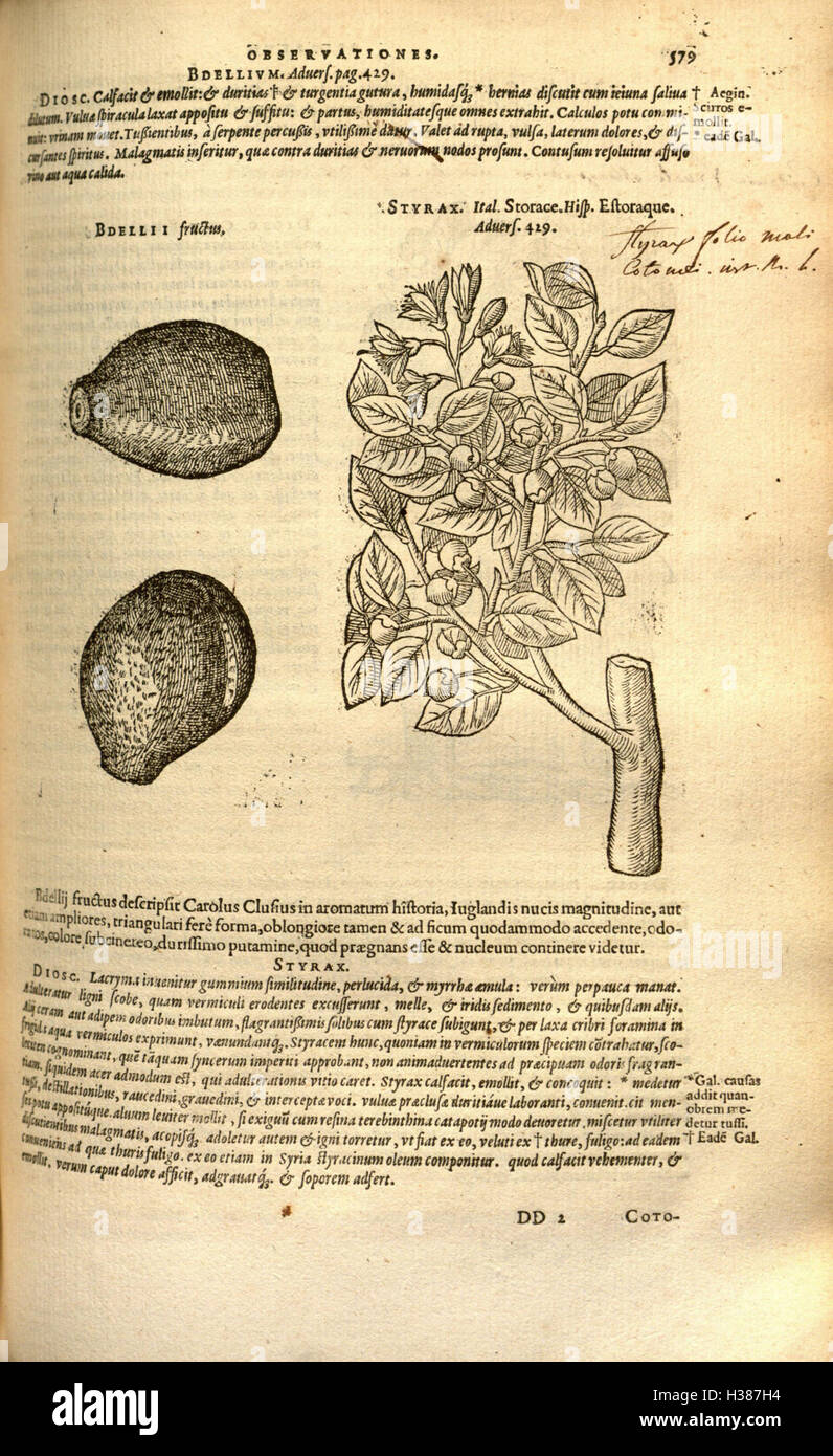 This work by John Ray presents a comprehensive history of plants ...