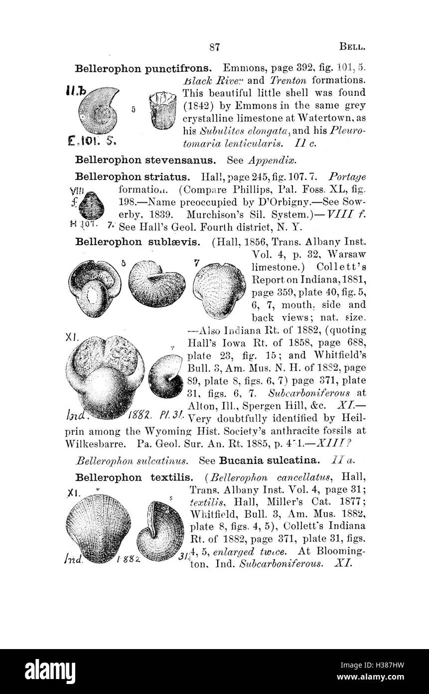 This page offers a comprehensive dictionary of fossils from ...