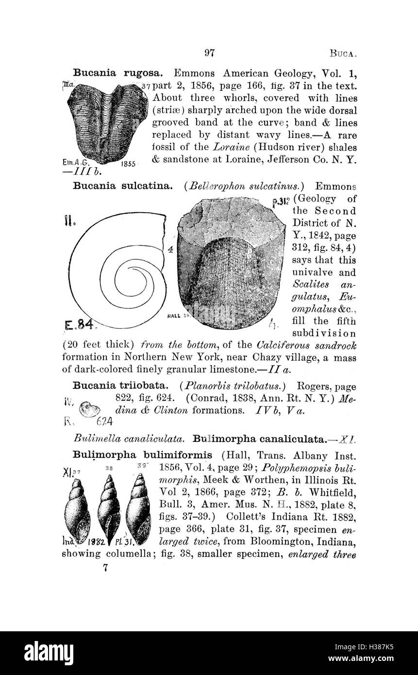 This dictionary compiles the fossils found in Pennsylvania and ...