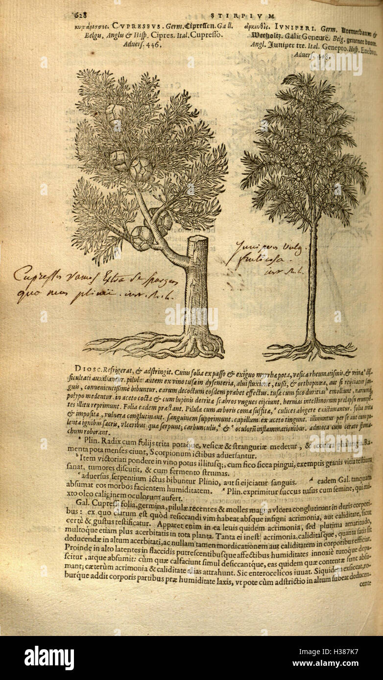 Medicinal plants history hi-res stock photography and images - Alamy