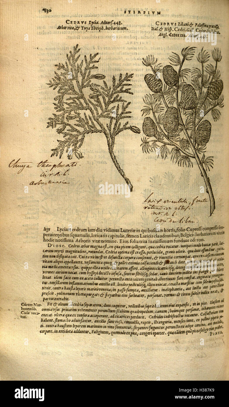 This page provides additional insights into the history of plants, with ...