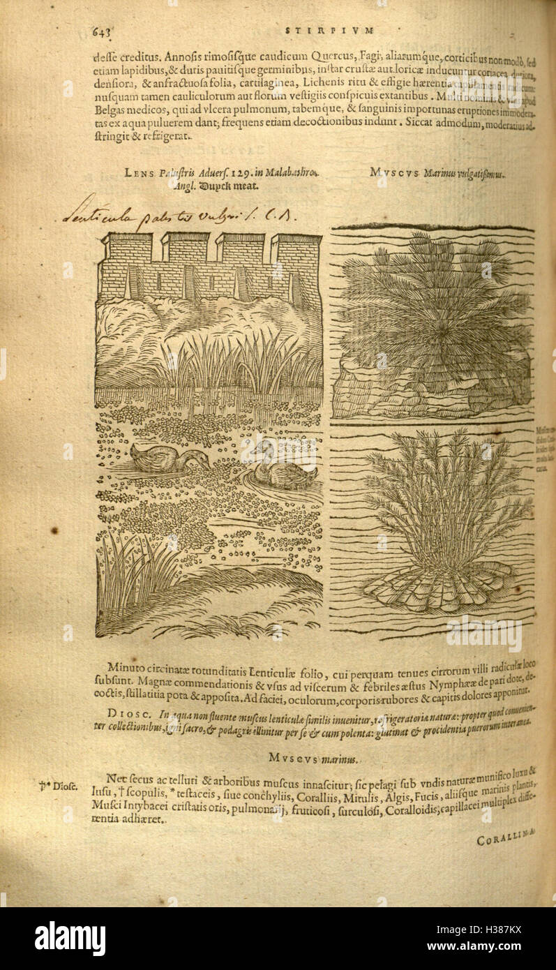 This botanical work covers the history and classification of plants ...