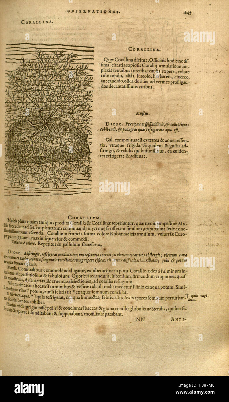 This Latin text is a comprehensive botanical work that describes ...