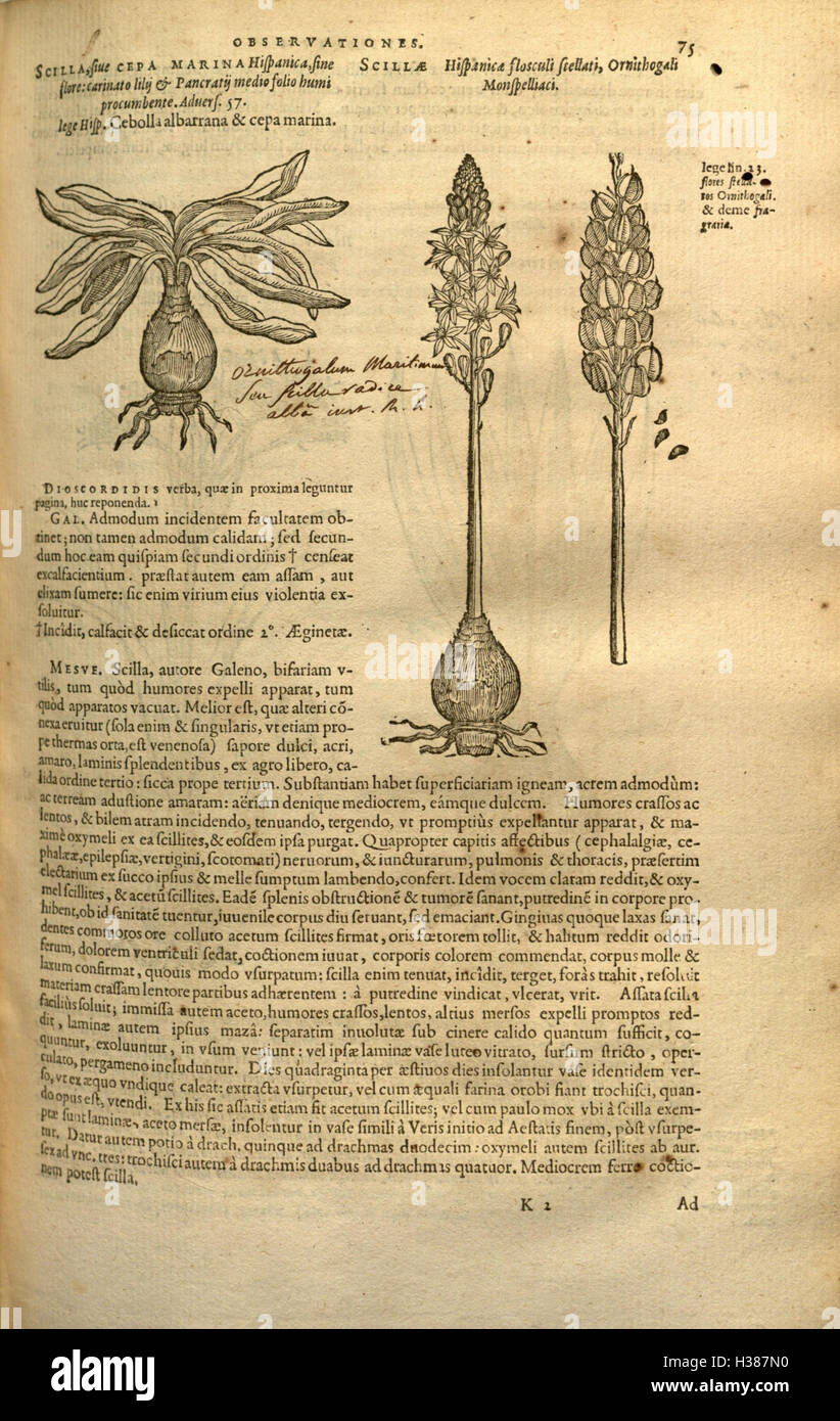 A classical botanical text, focusing on the history and classification ...
