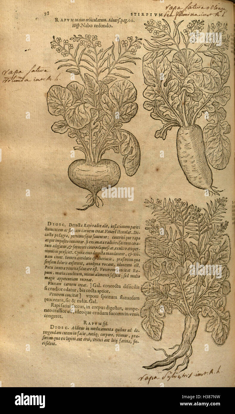 This page contains a detailed botanical history of plants, focusing on ...