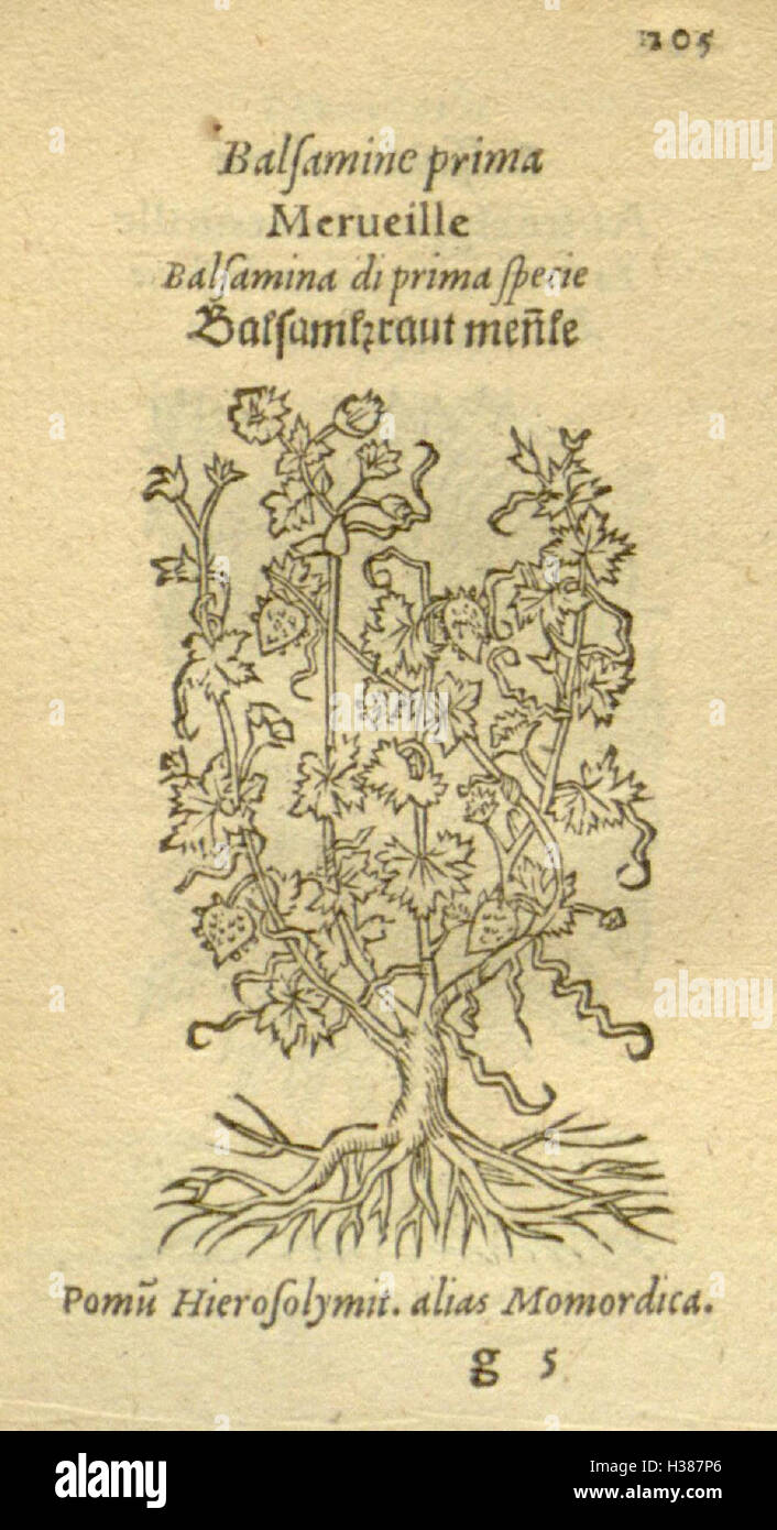 This work features detailed illustrations and descriptions of plant ...