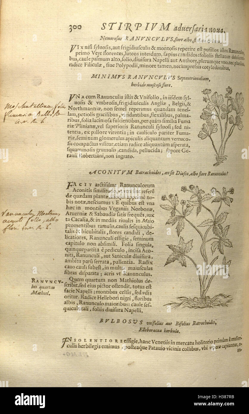 This botanical text provides an in-depth history of plants and their ...