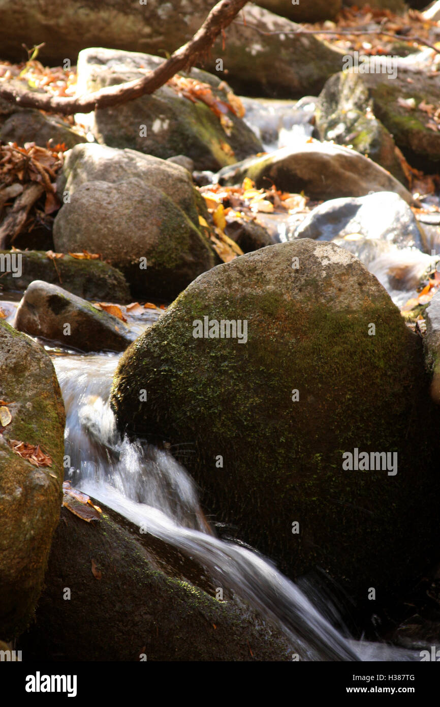 Mountain stream through rocks Stock Photo - Alamy