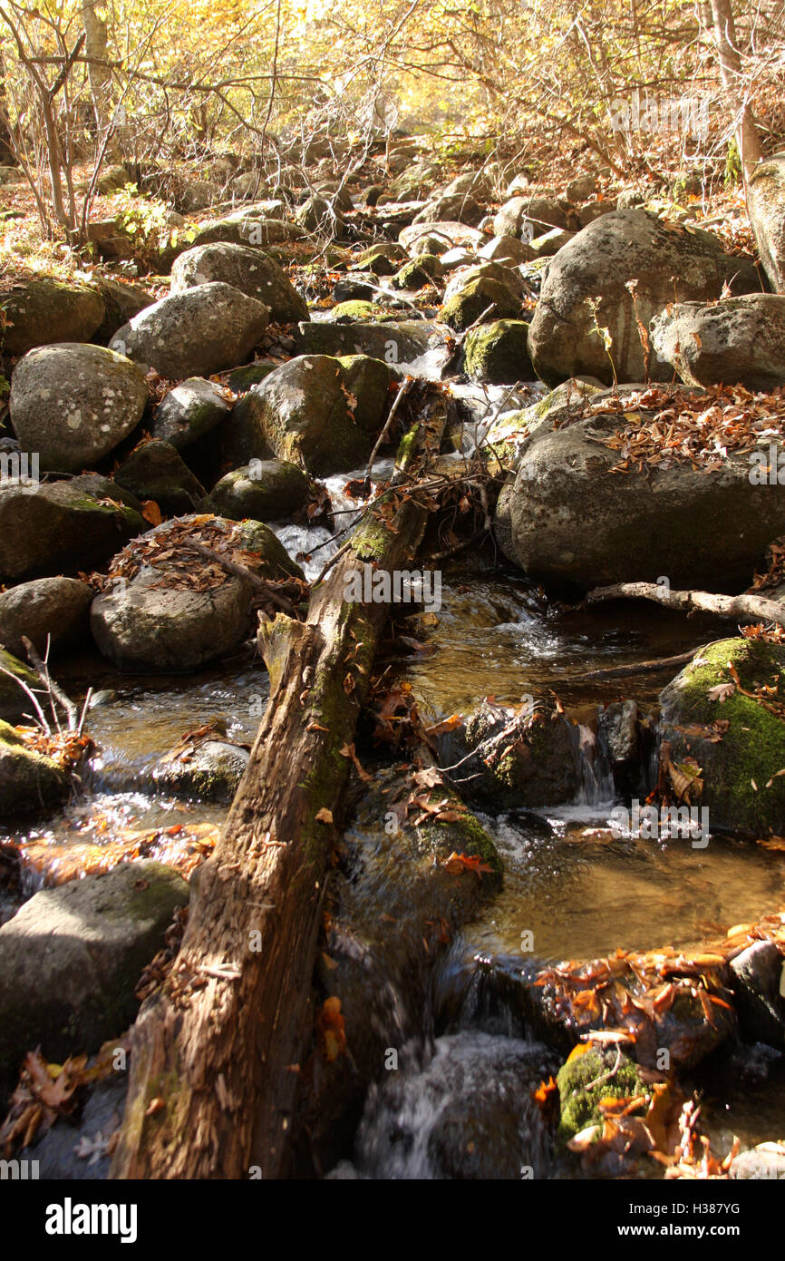 Mountain stream through rocks Stock Photo - Alamy