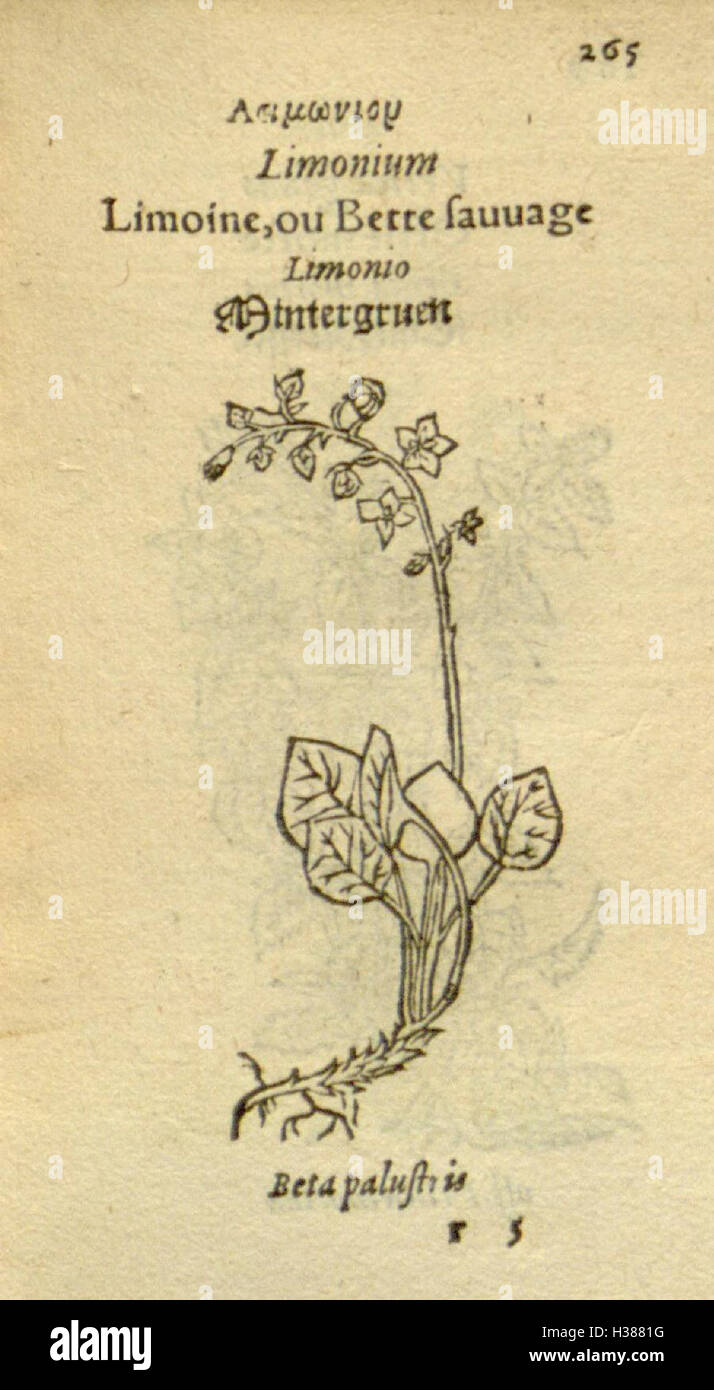 This text contains detailed illustrations and descriptions of various ...