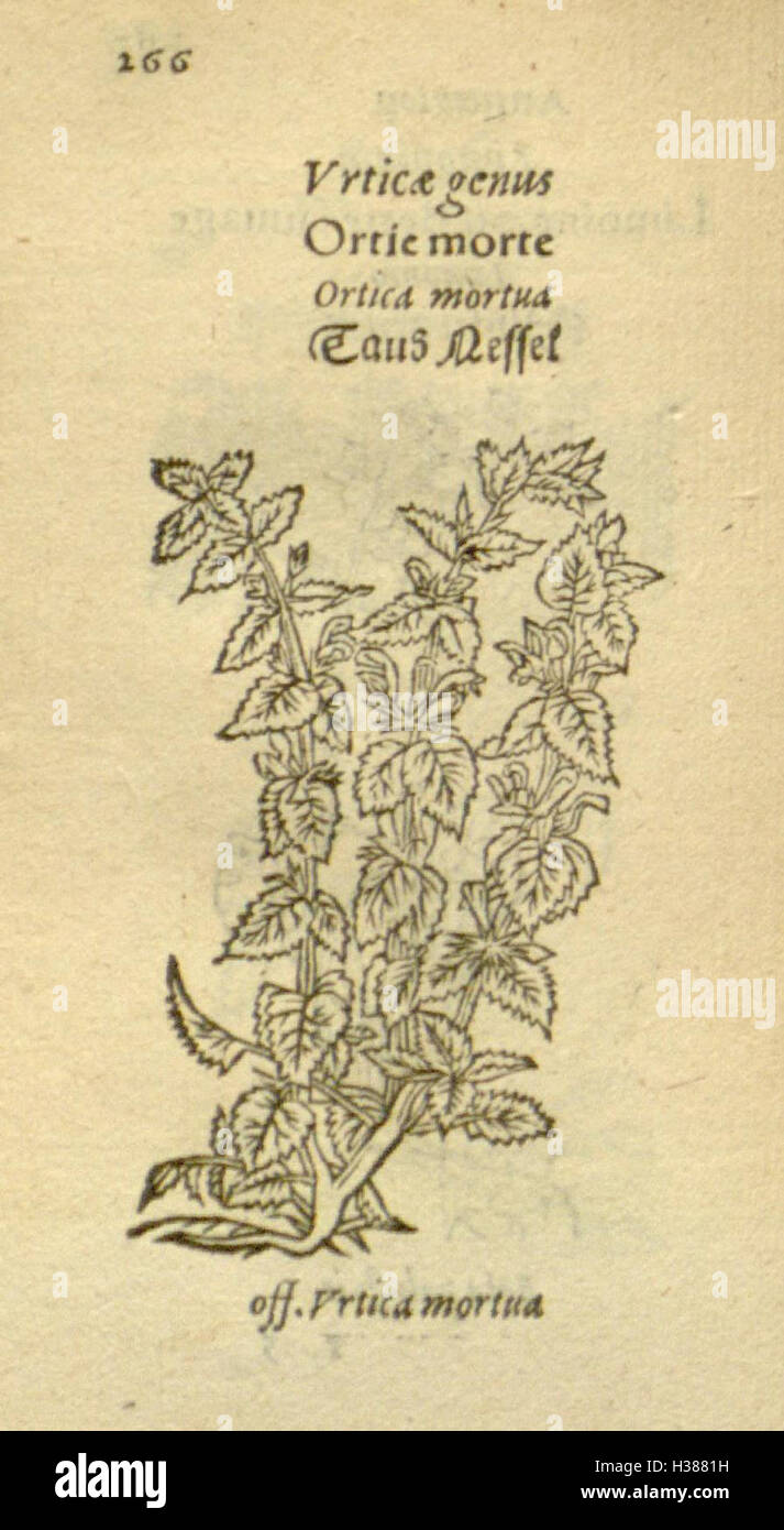 This work features illustrations and descriptions of various plant ...
