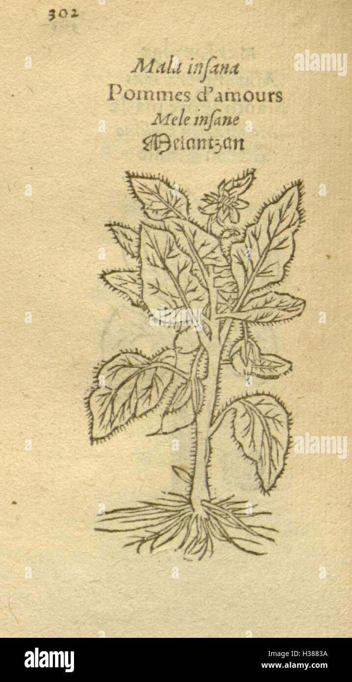 This work features illustrations and descriptions of various plant ...