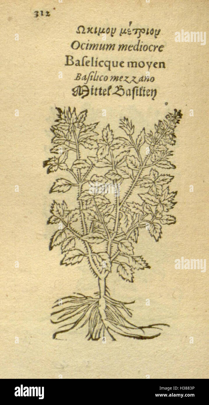 This page features detailed illustrations and descriptions of various ...