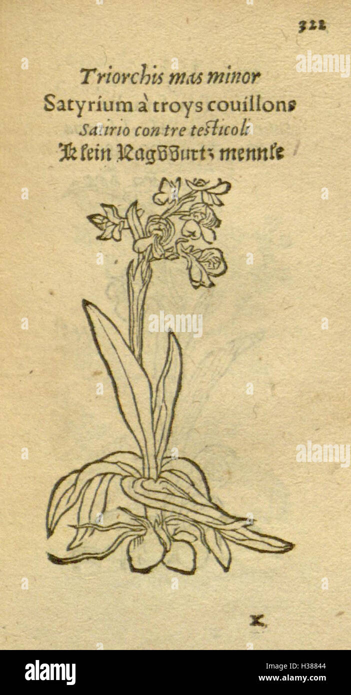 This text presents detailed illustrations and descriptions of various ...